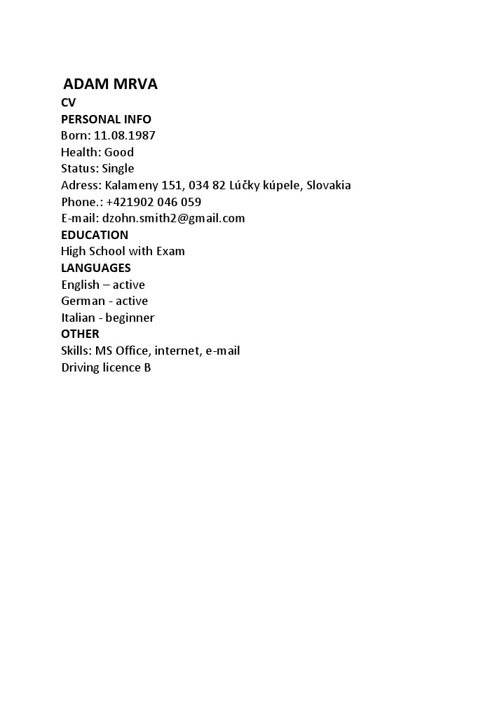 Cv 3 Pdf
