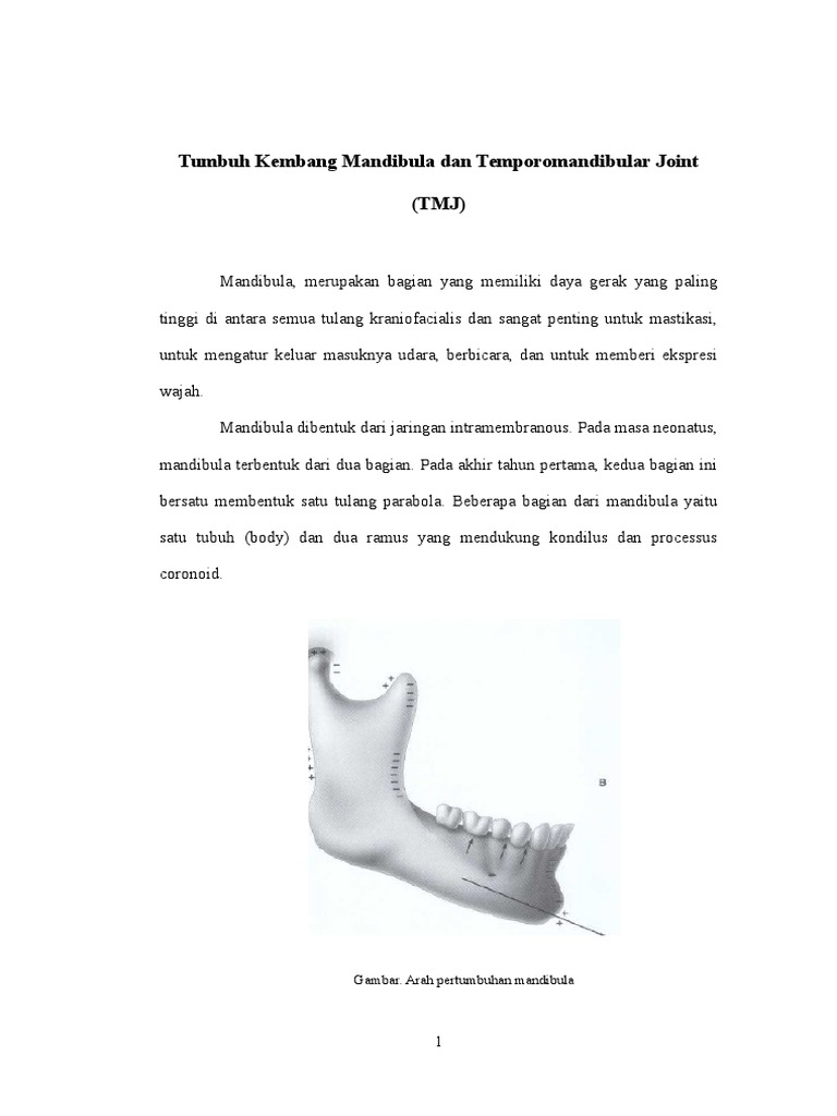 Tumbuh Kembang Mandibula Dan TMJ | PDF