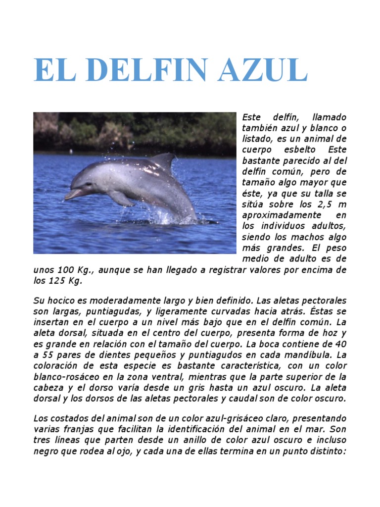 El Delfin Azul PDF | Cetacea | Naturaleza