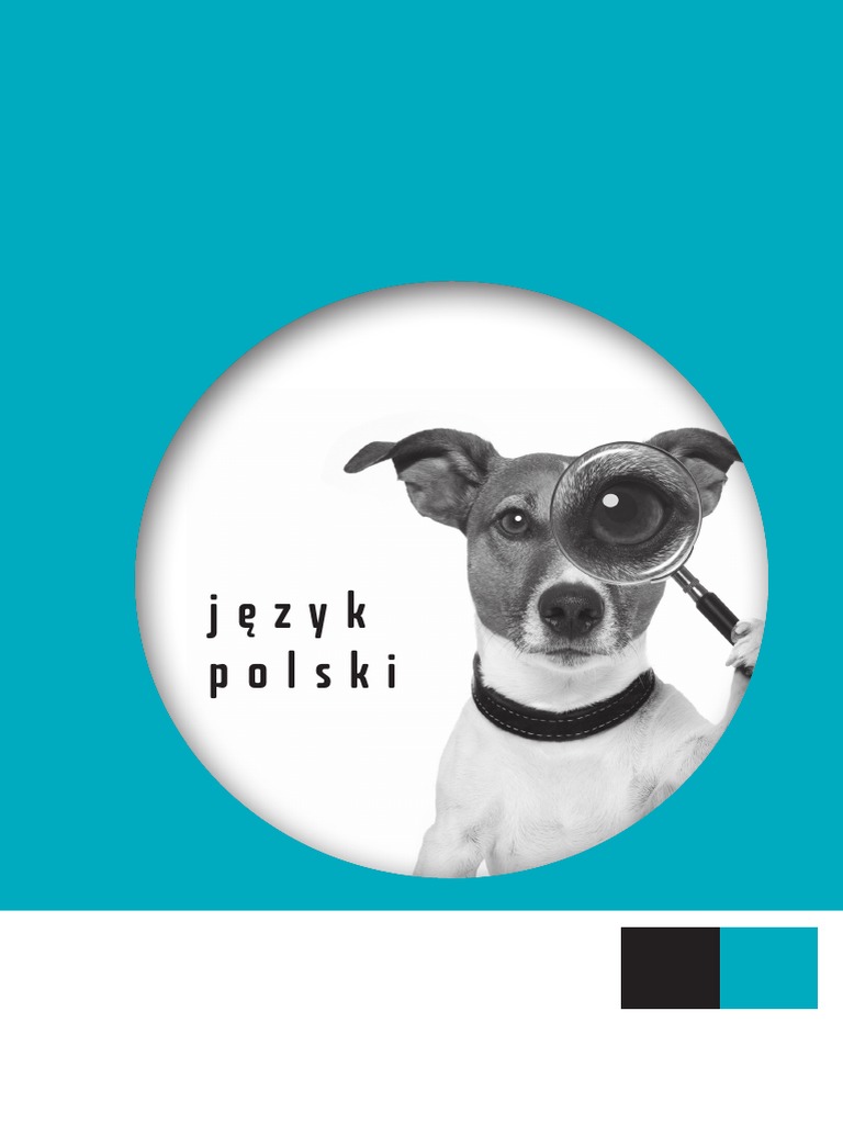 Arkusz Egzaminacyjny Jez Polski | PDF