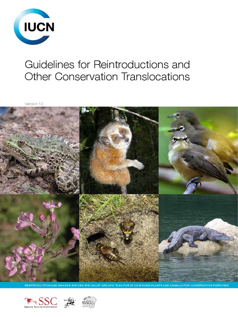 RSG ISSG Reintroduction Guidelines 2013 | PDF | Conservation Biology | Risk