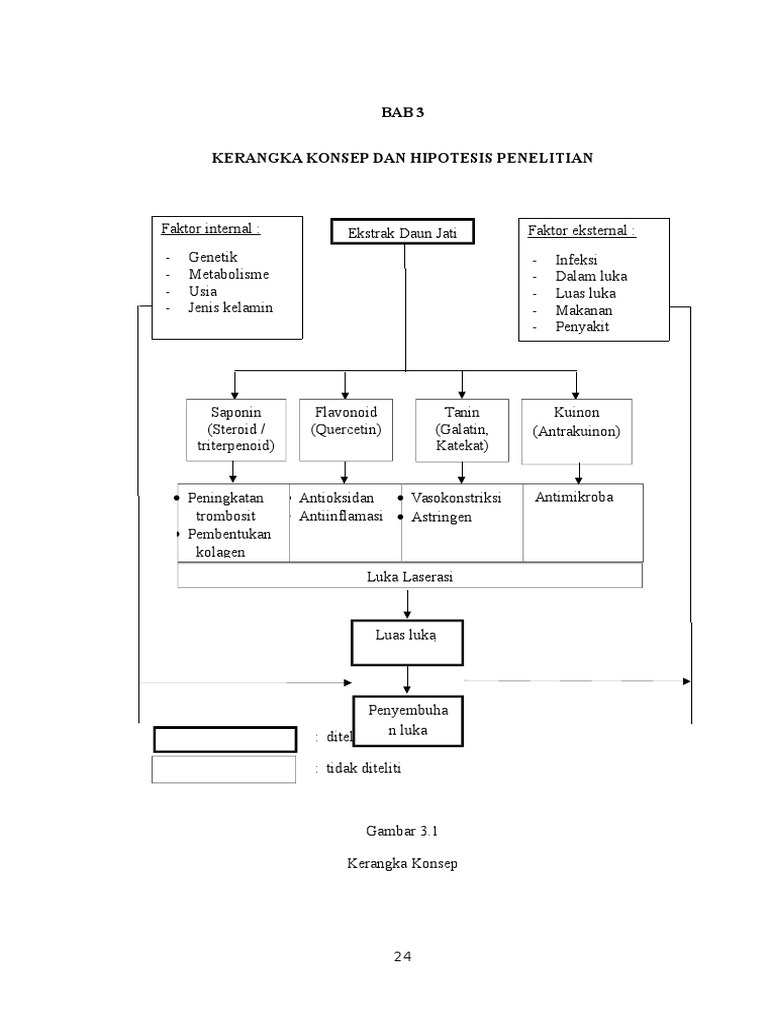 Bab 3 Kerangka Konsep | PDF