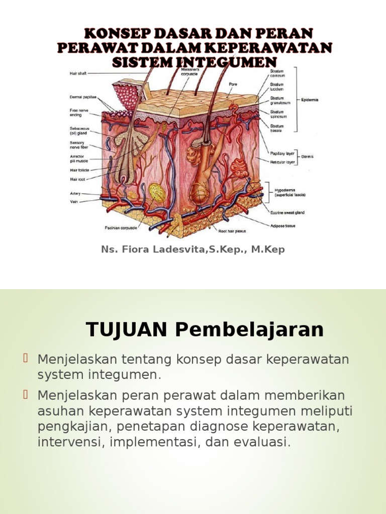 Konsep Dasar Dan Askep Sistem Integumen