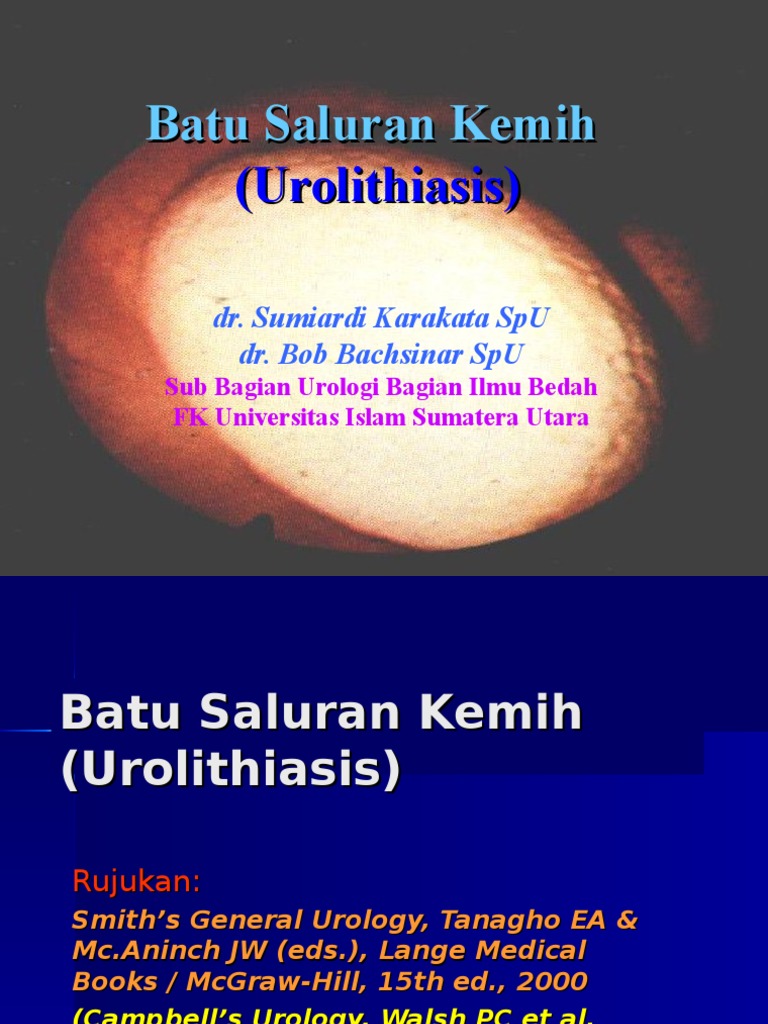 Batu Saluran Kemih | PDF