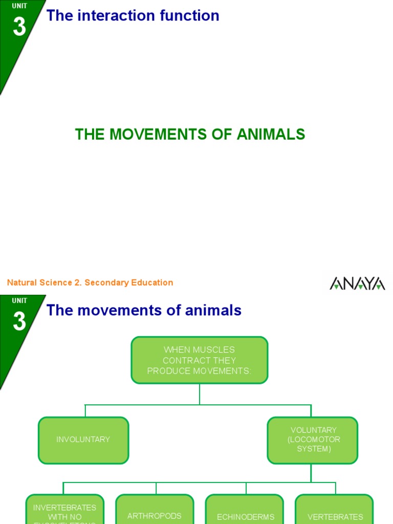 Animal Movement Mechanisms Explained | PDF