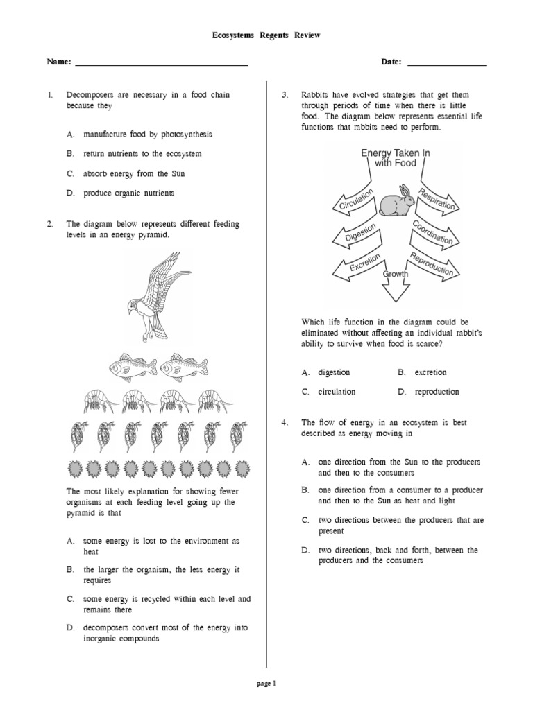 Ecosystems Regents Review | PDF | Ecosystem | Predation