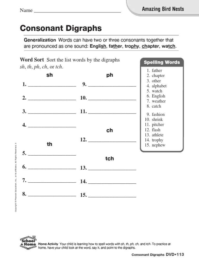 Amazing Bird Nests Practice Pages | PDF | Plural | Consonant