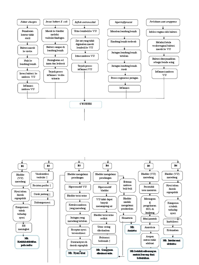 Woc Sistitis | PDF