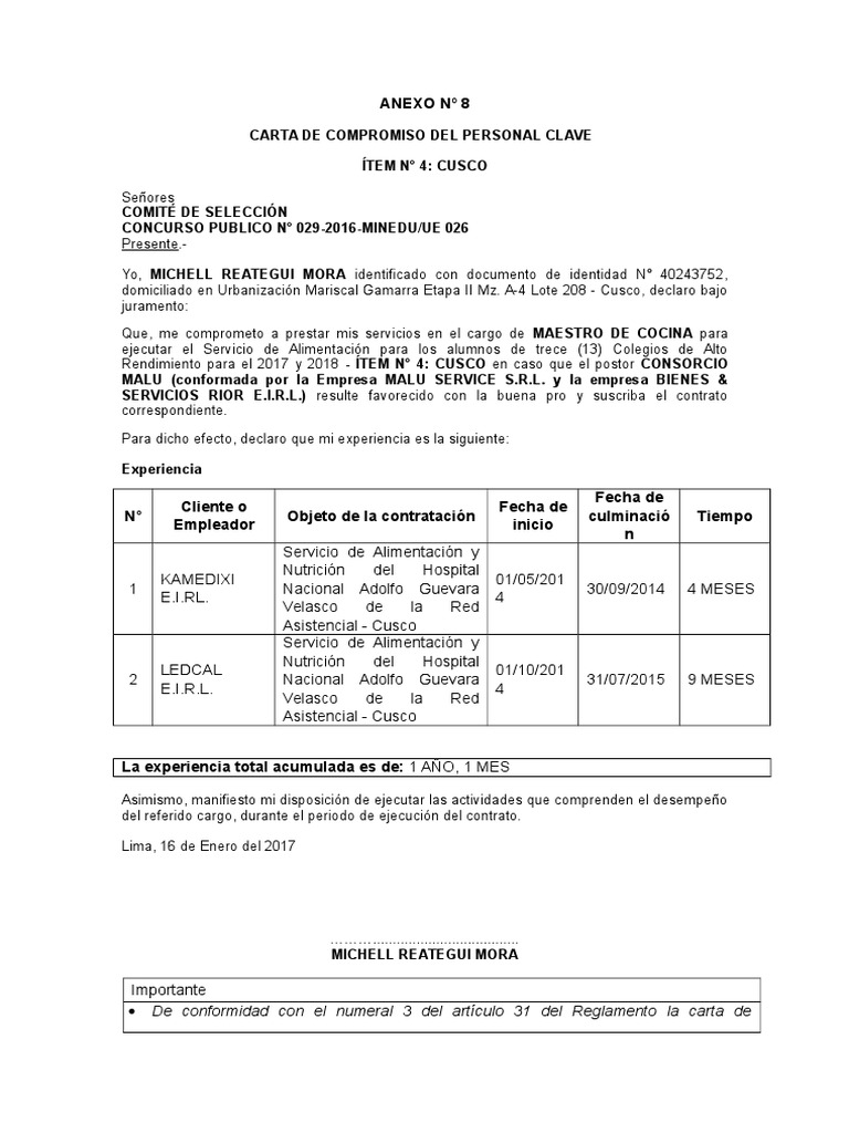 Formato de Michael | PDF | Business