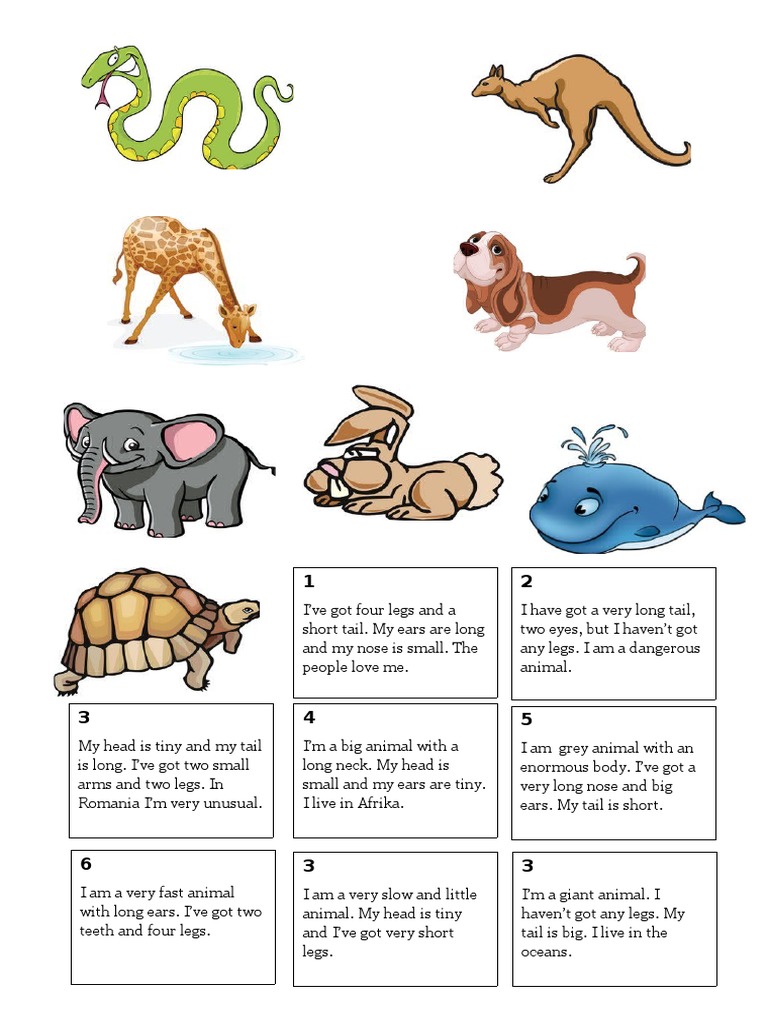 Describing Animals | PDF