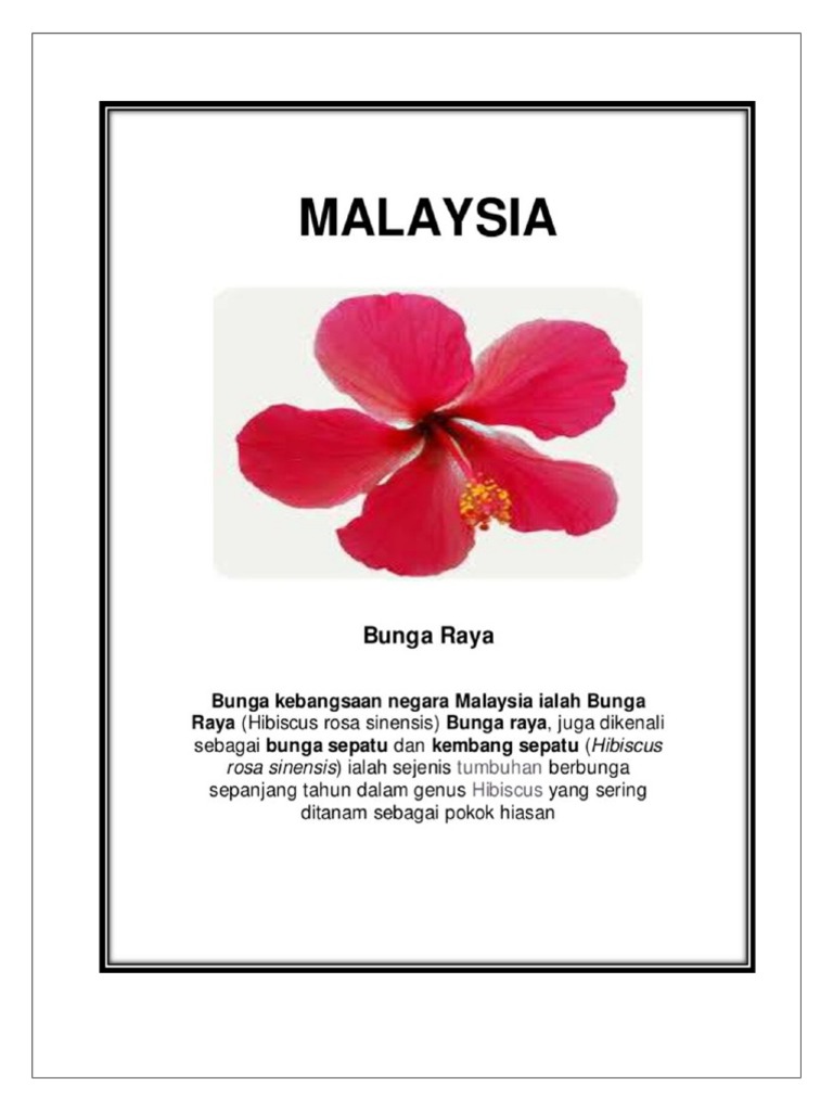 Bunga Kebangsaan | PDF