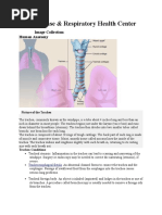 Tracheal Deviation - Causes and Treatment | PDF | Lung | Respiratory System