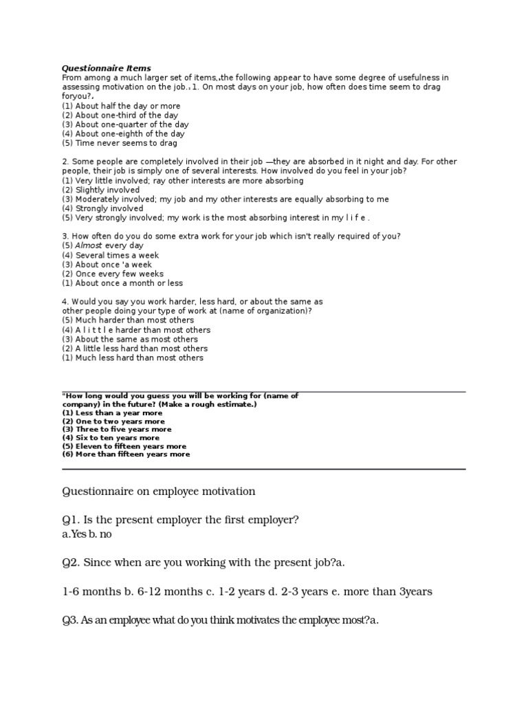 Employee Motivation Questionnaire Insights | PDF | Motivation ...