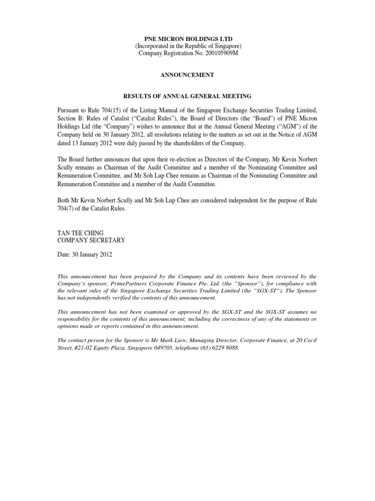 Pne Micron Holdings LTD | PDF