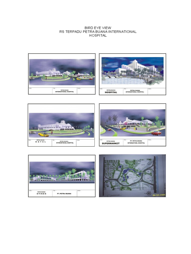 Bks - Bird Eye PBI 11 Exec | PDF | Wellness