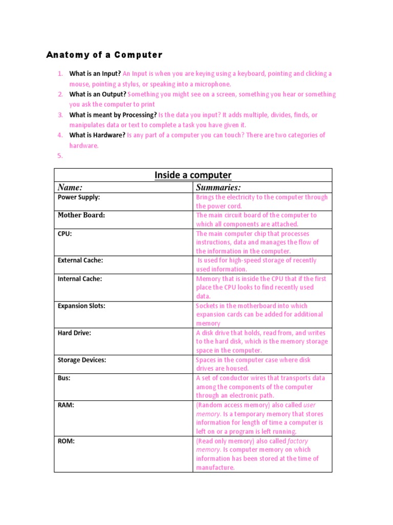 Anatomy of A Computer | PDF | Computer Data Storage | Computer Hardware