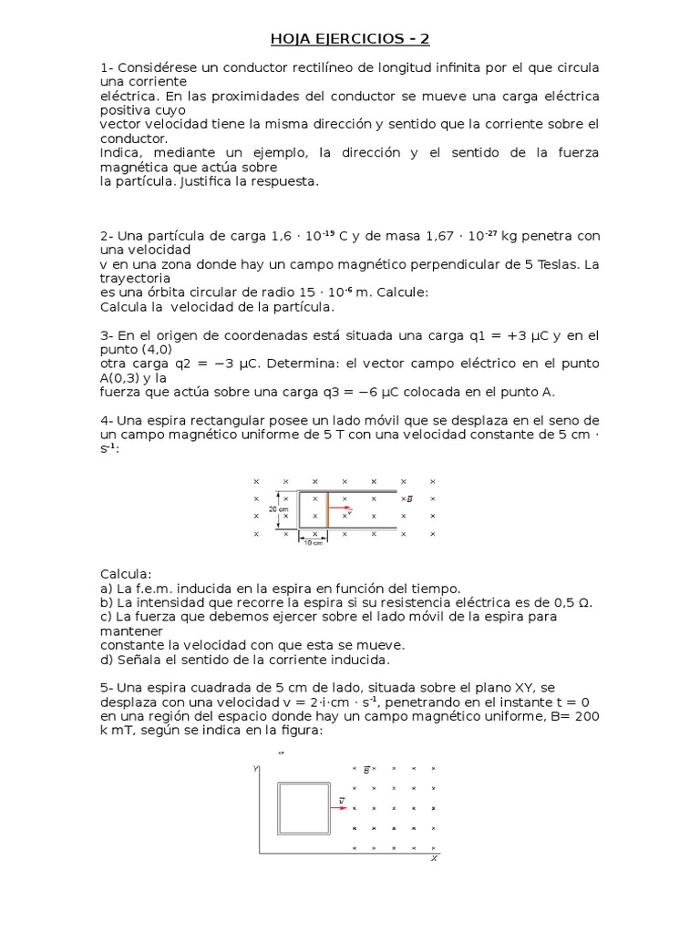 Hoja Ejercicios 2 | PDF | Campo magnético | Corriente eléctrica