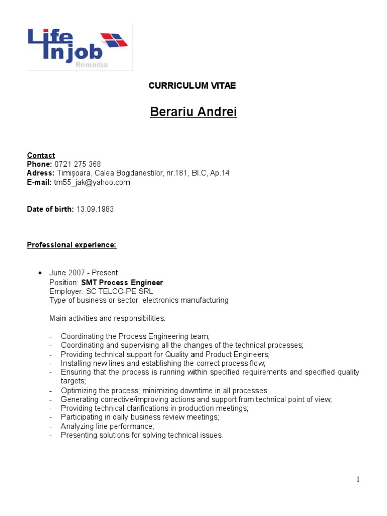 CV Berariu Andrei - Eng | PDF