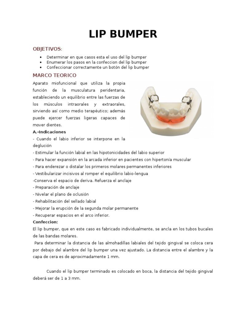 Lip Bumper | PDF | Boca | Naturaleza