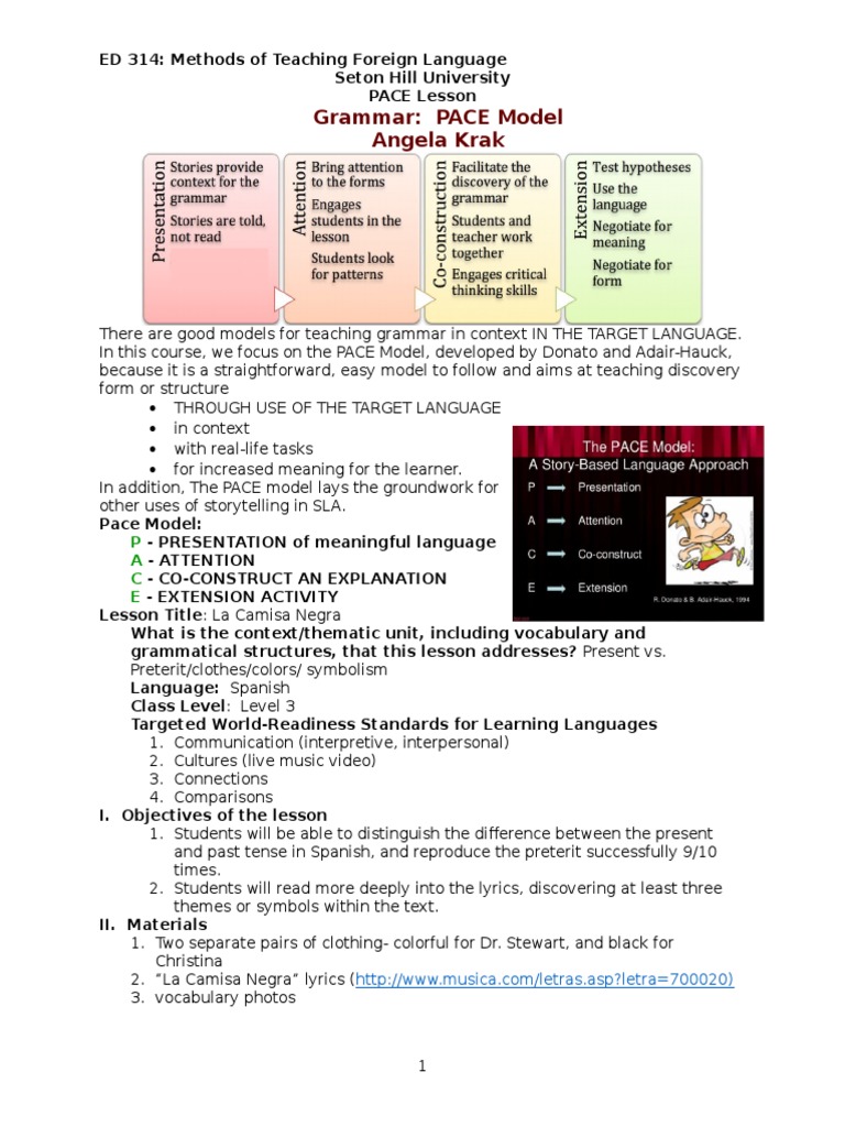 Ed 314 Pace Lesson Rubric | PDF | Vocabulary | Second Language