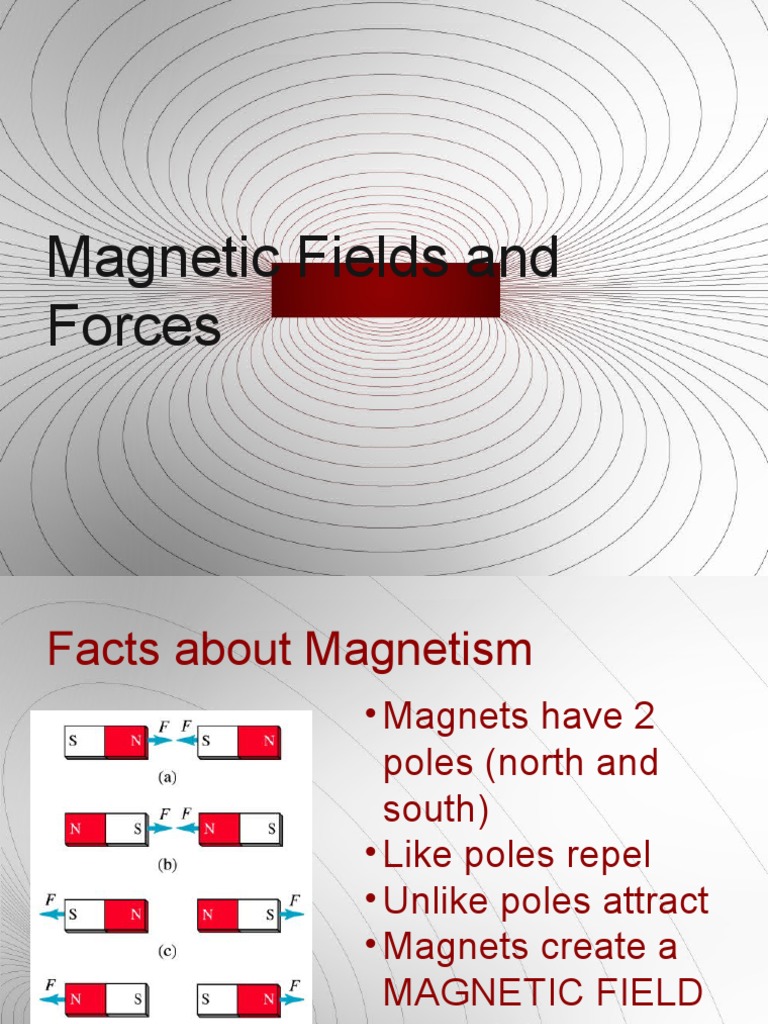 Magnetic Fields and Forces Explained | PDF | Magnetic Field | Electric ...