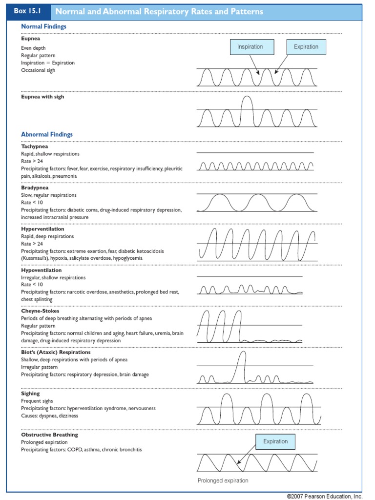 Normal and Abnormal Respiratory Rates and Patterns: Assessment ...