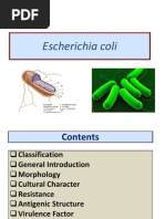 Klasifikasi Salmonella Kauffman | PDF | Serotype | Salmonella
