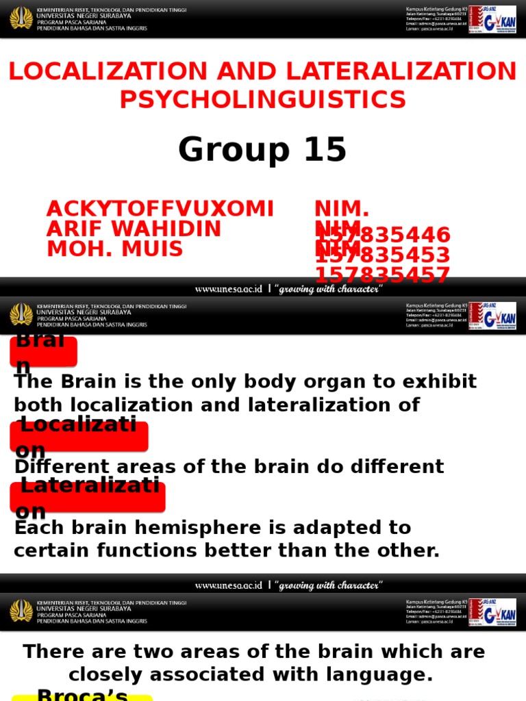 Localization and Lateralization | Lateralization Of Brain Function | Handedness
