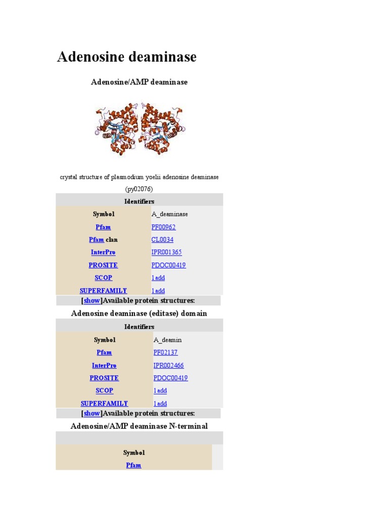 Adenosine deaminase | Proteins | Molecular Biophysics