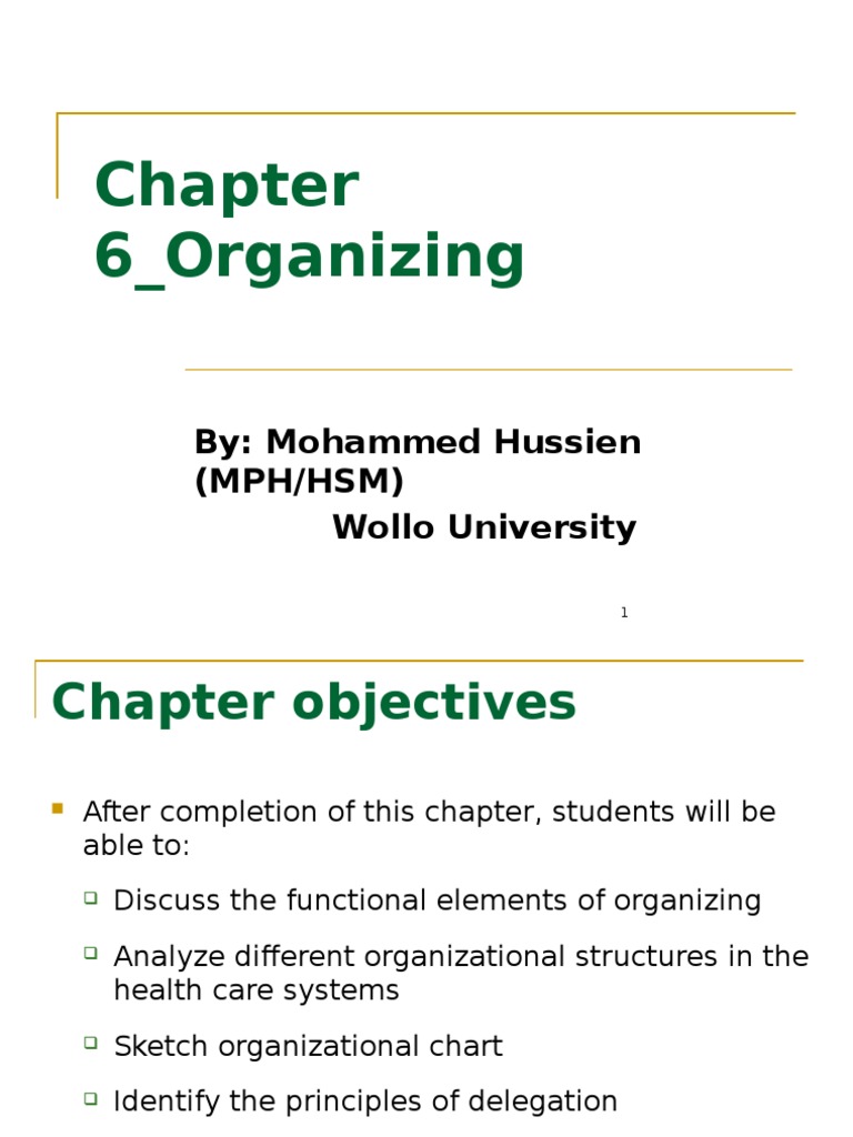 Chapter 6 Organizing | PDF | Organizational Structure | Employment