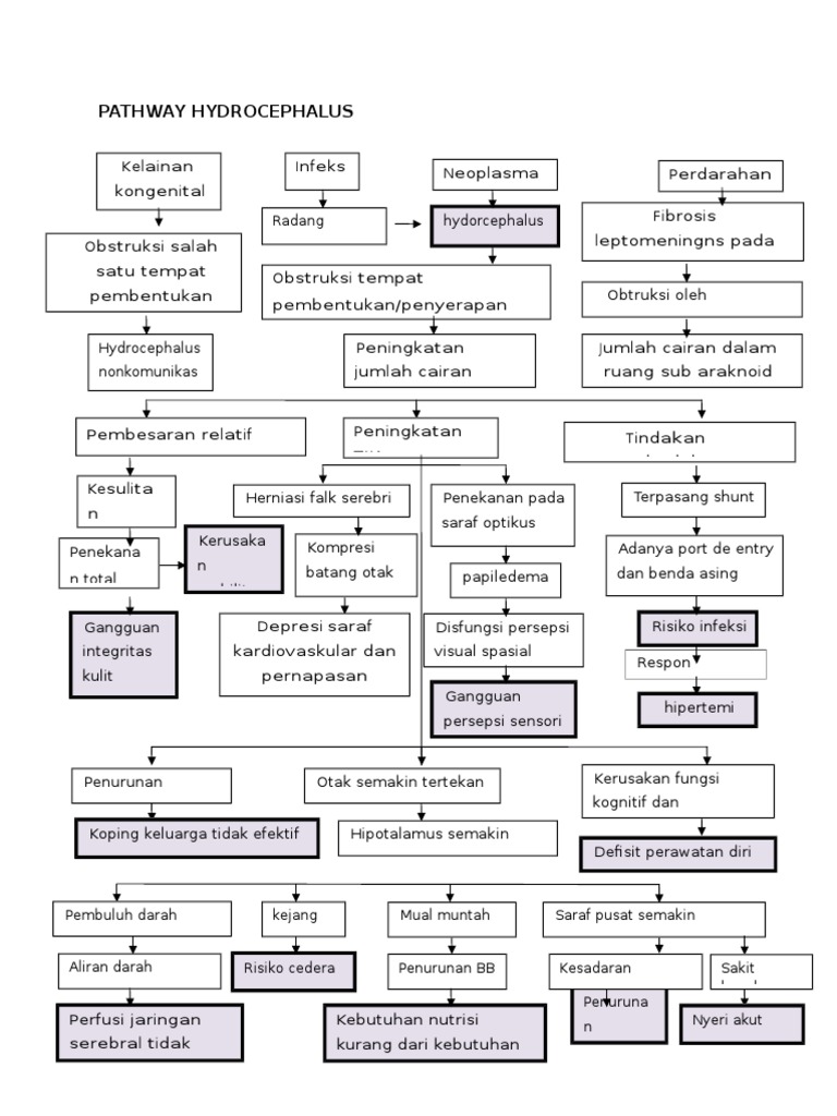 Pathway Hidrosefalus