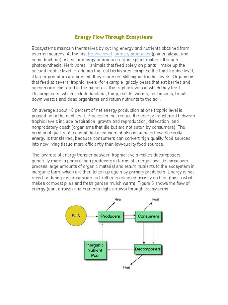Energy Flow and Trophic Levels in Ecosystems | PDF | Primary Production ...