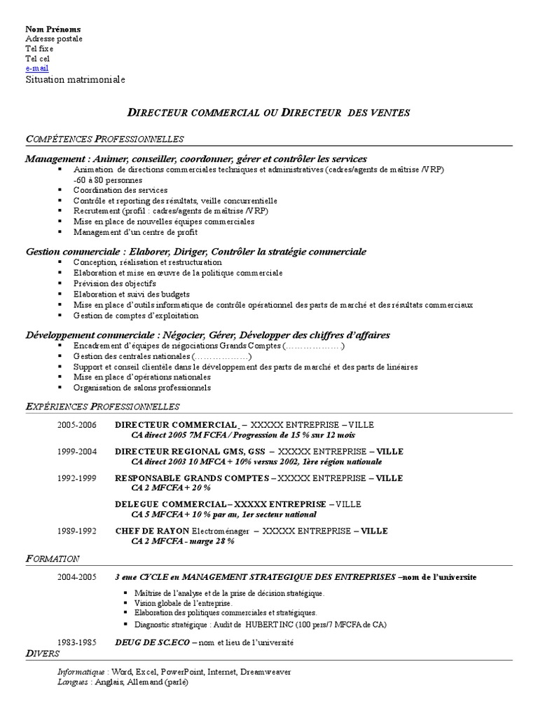 CV Directeur Commercial Expert | PDF