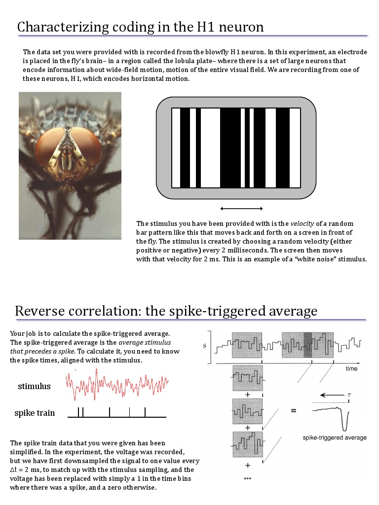 Coding in Neuron STAtutorial PDF | PDF | Science & Mathematics | Computers