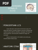 Pemeriksaan dan Analisis LCS | PDF