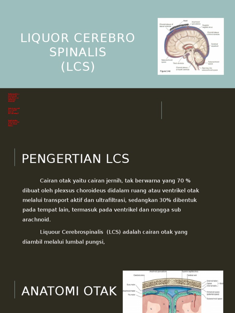 LCS (Liquor Cerebro Spinalis)