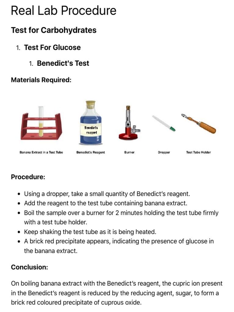 Testing Carbohydrates, Proteins, and Fats | PDF | Physical Sciences ...