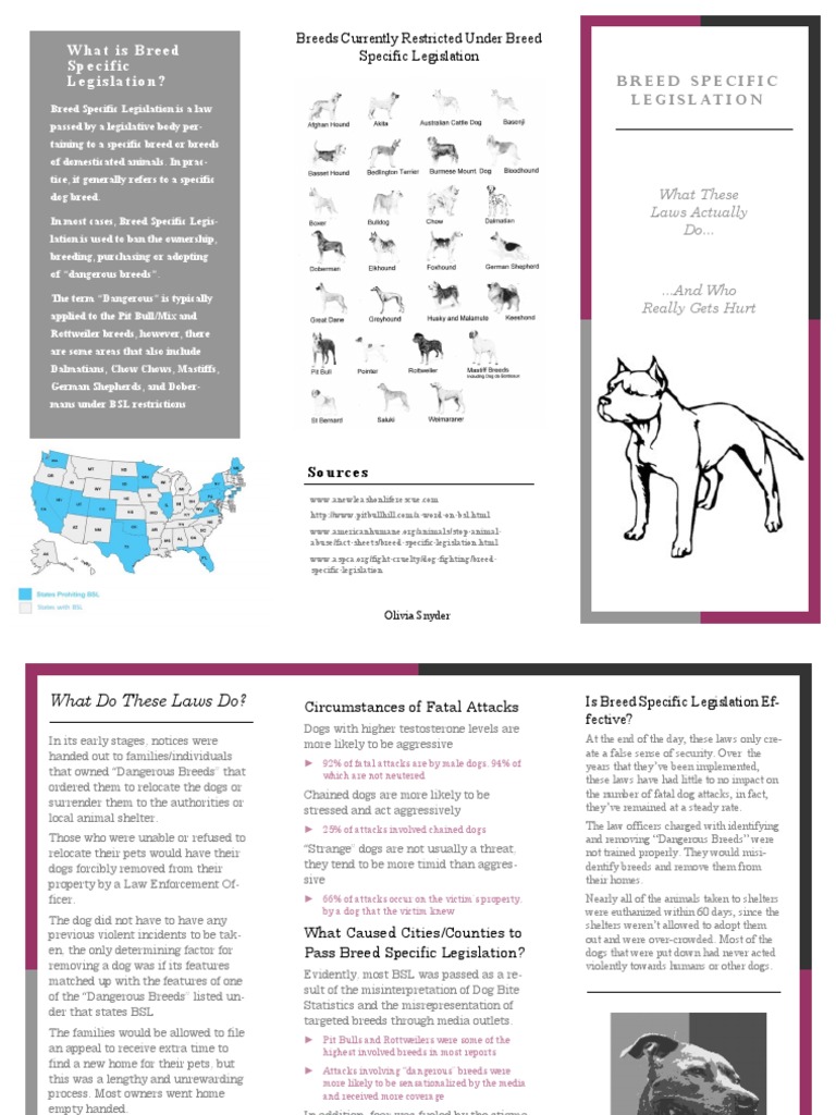 What Is Breed Specific Legislation? | PDF | Pit Bull | Subspecies Of ...