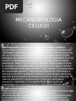 Lista Coduri 999 Revizia X | PDF
