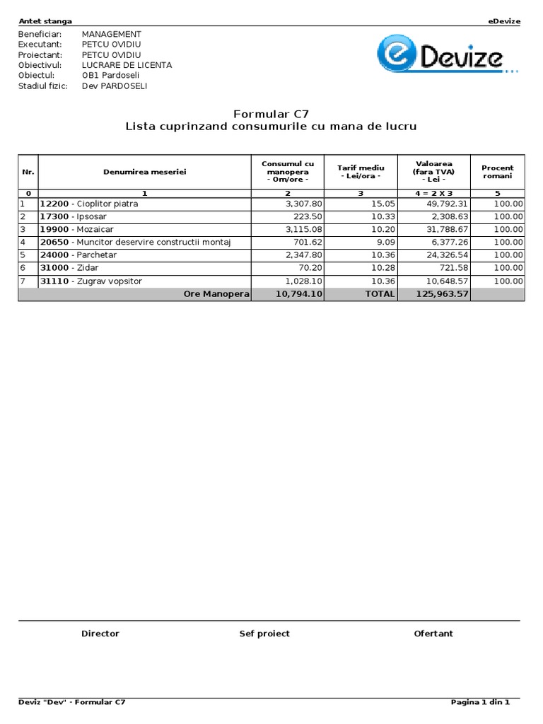 Deviz Pardoseli - Lucrări de Licență | PDF | Art