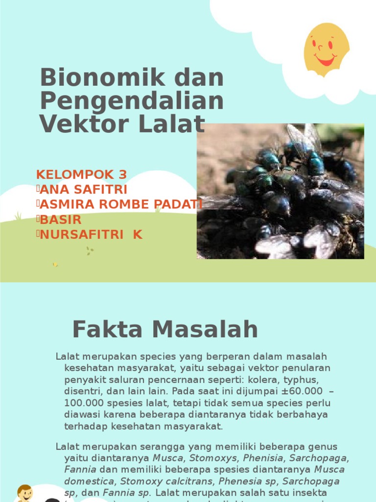 Pengendalian Vektor Lalat | PDF