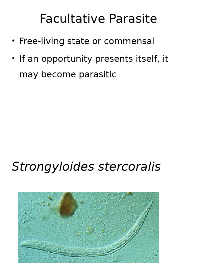 Types of Parasites Explained | PDF