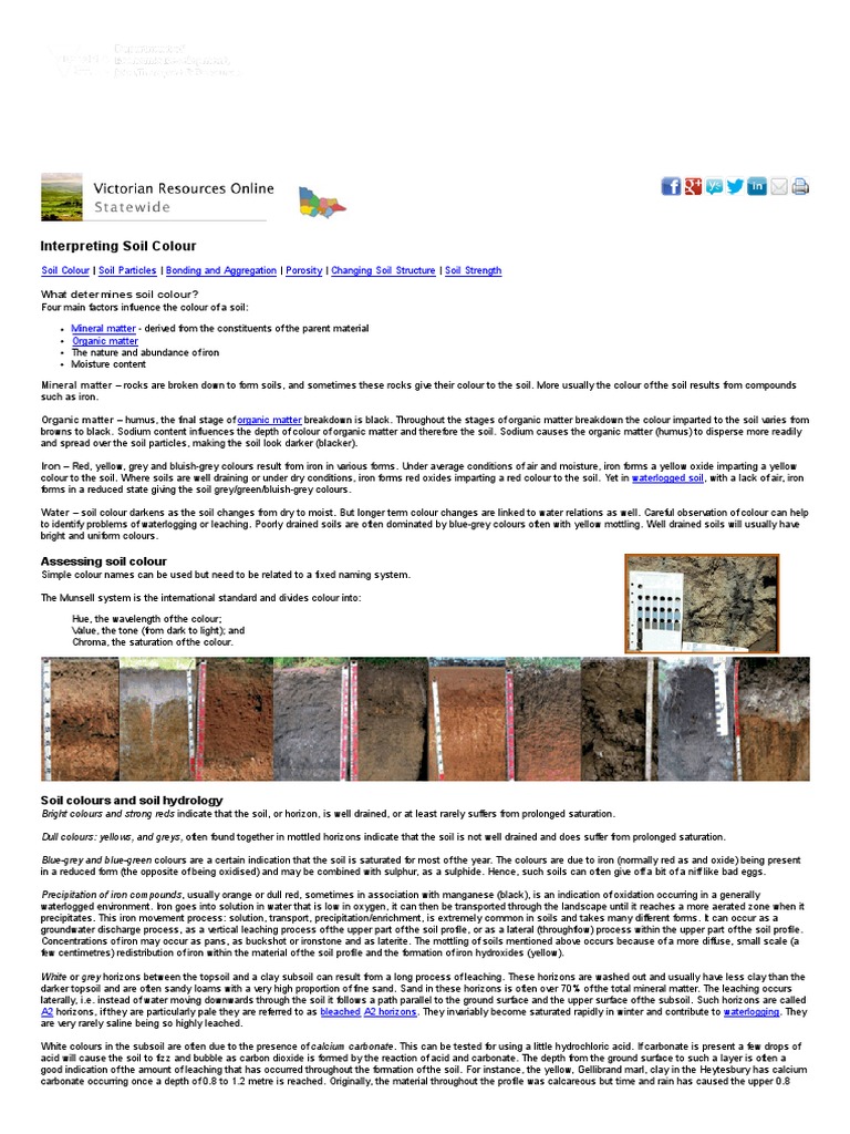 Interpreting Soil Colour | PDF | Organic Matter | Soil