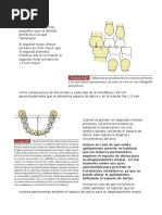 Diagrama de Posselt en Oclusión | PDF | Sistema musculoesquelético ...