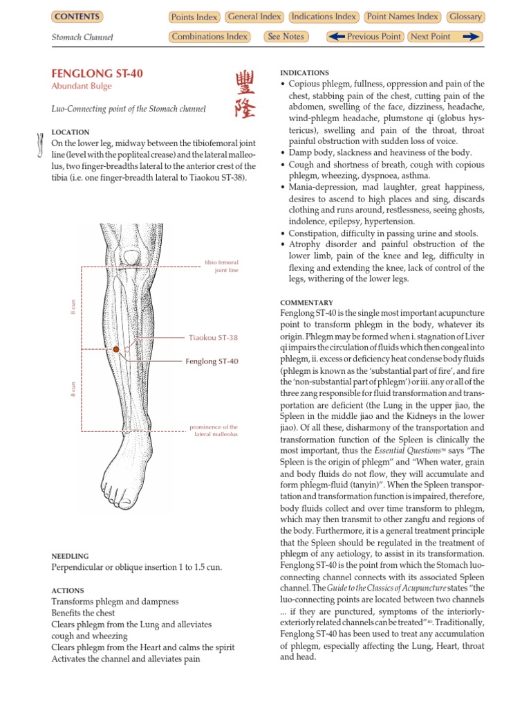 ST 40 PDF | PDF | Thorax | Traditional Chinese Medicine