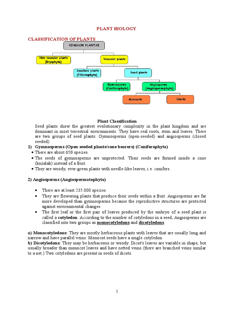Plant Biology Classification of Plants | PDF | Seed | Bark