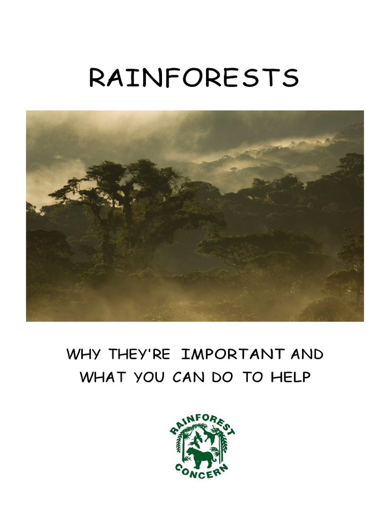Rainforest Booklet Pdf Pdf Rainforest Trees