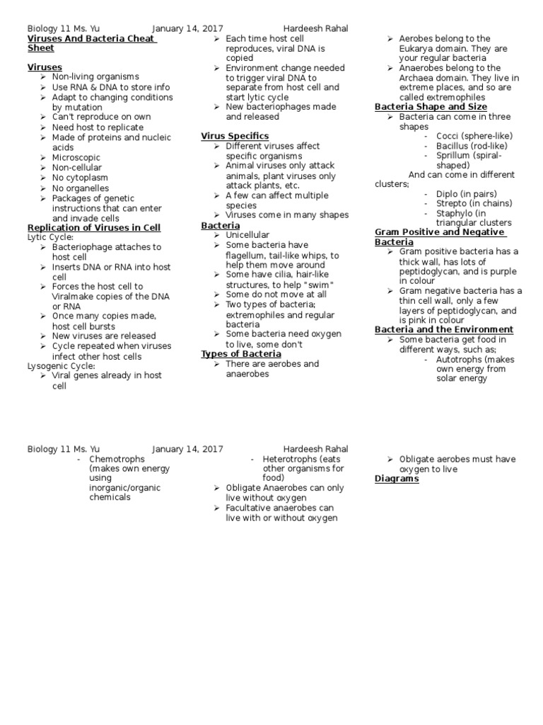 Viruses and Bacteria Cheat Sheet | PDF