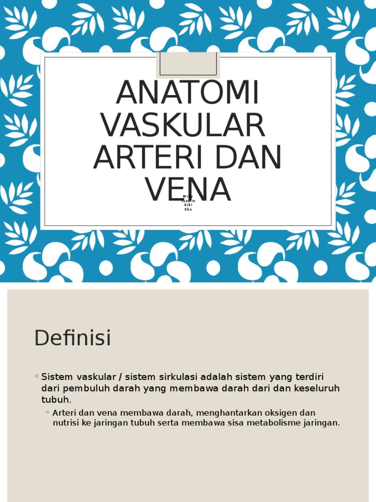 Anatomi Vaskular (F) | PDF | Seni