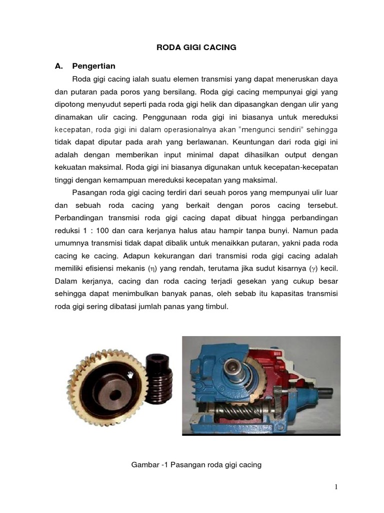 Roda Gigi Cacing PDF | PDF